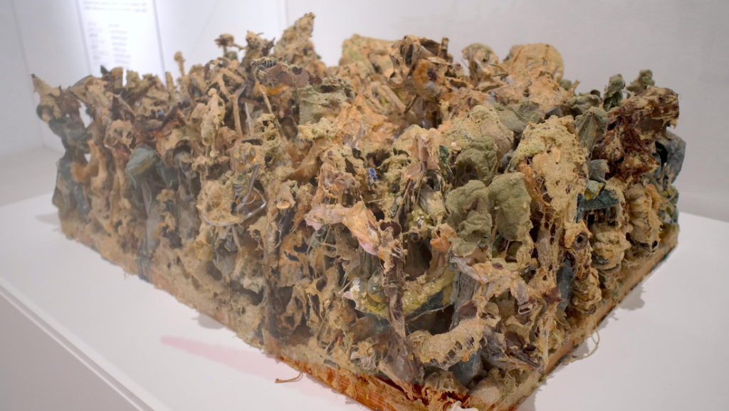 What is art and who is an artist? Visiting the POCORAT world exhibition ...