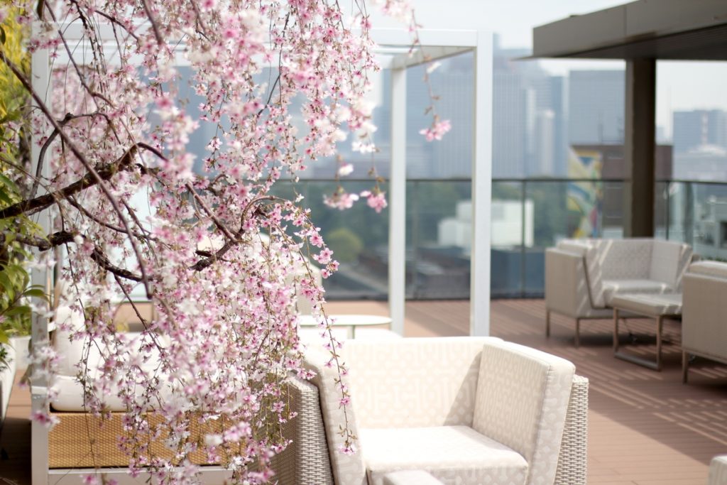 Discover Tranquility and Luxury at The Kitano Hotel Tokyo: A Modern ...